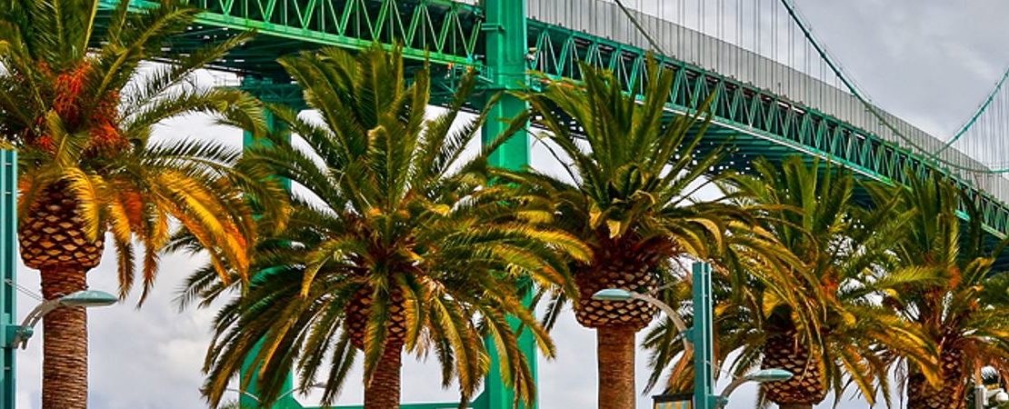 San Pedro Property Management - Property Management Company- Serving ...